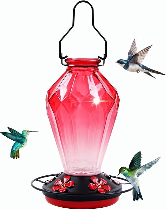 Glass Hummingbird Feeder for Outdoors Hanging, 25Oz Humming Bird Nectar ...