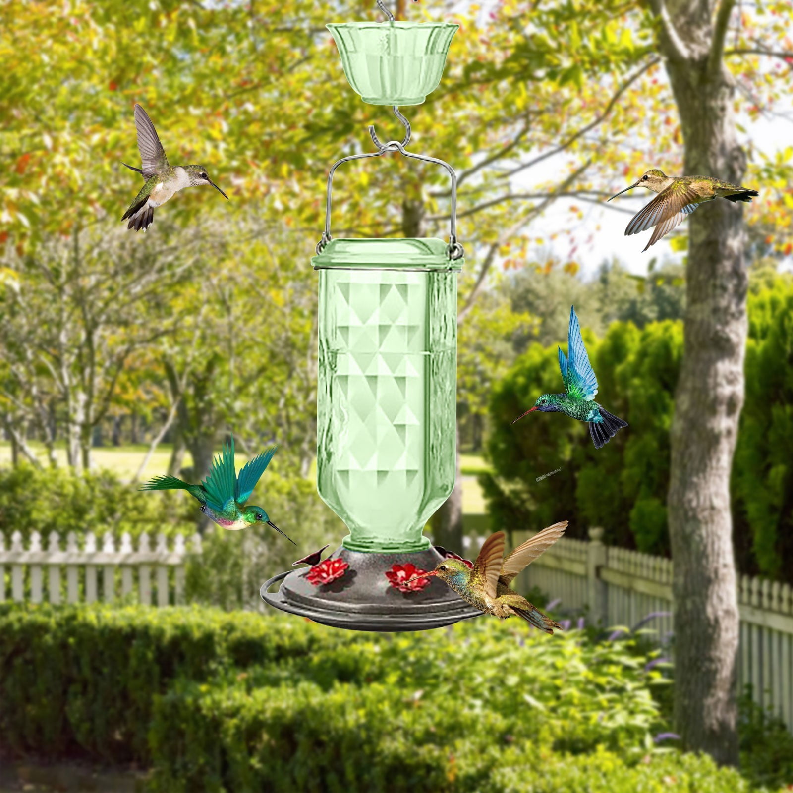 Glass Hummingbird Garden Feeder - 6 Feeding Ports with Ant Protection ...