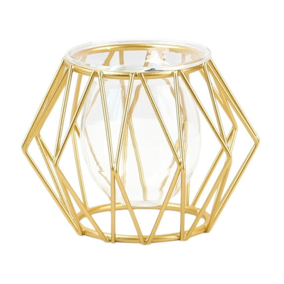 Glass Hydroponic Vase, Gold Decorative Planter for Ivy, Home Living ...