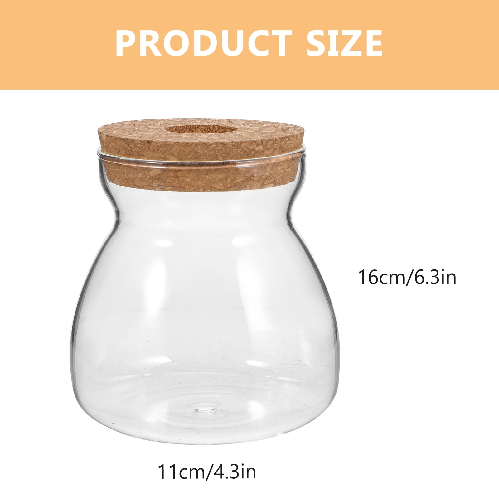 Glass Terrarium Jar for Hydroponic Plants and Storage with Transparent ...