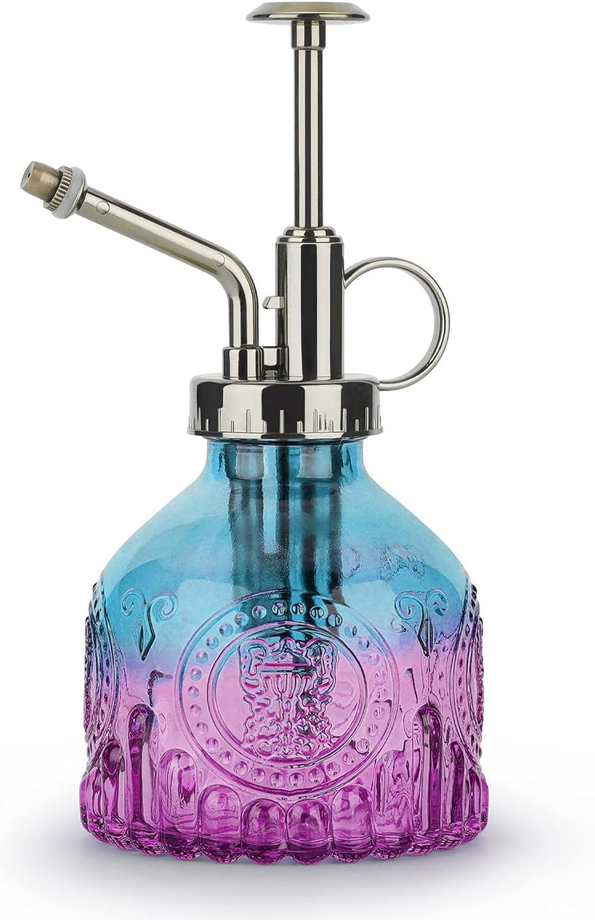 Glass Plant 200ML, Vintage Spray Bottle with Top Pump, Fine Mist Garden ...
