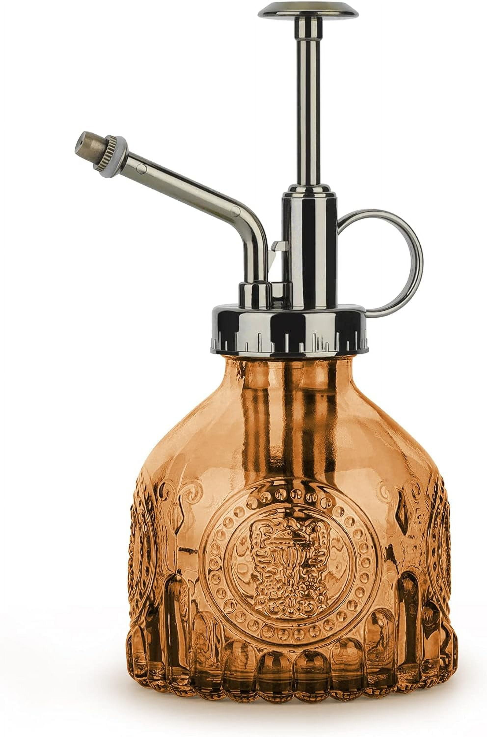 Glass Plant 200ML, Vintage Spray Bottle with Top Pump, Fine Mist Garden ...