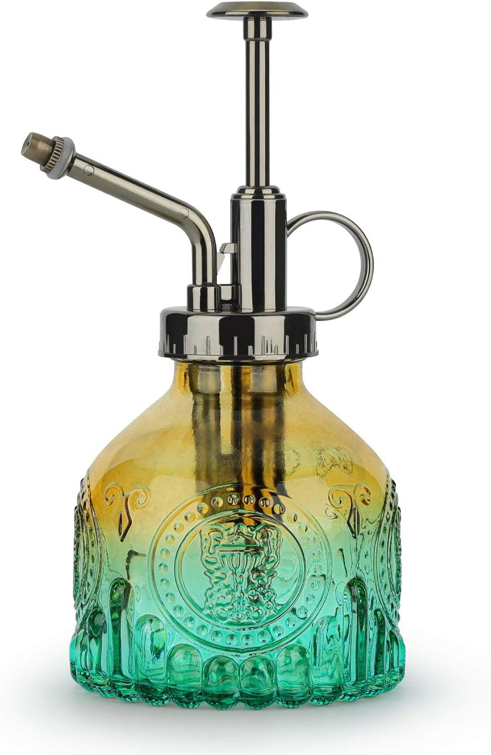 Glass Plant 200ML, Vintage Spray Bottle with Top Pump, Fine Mist Garden ...