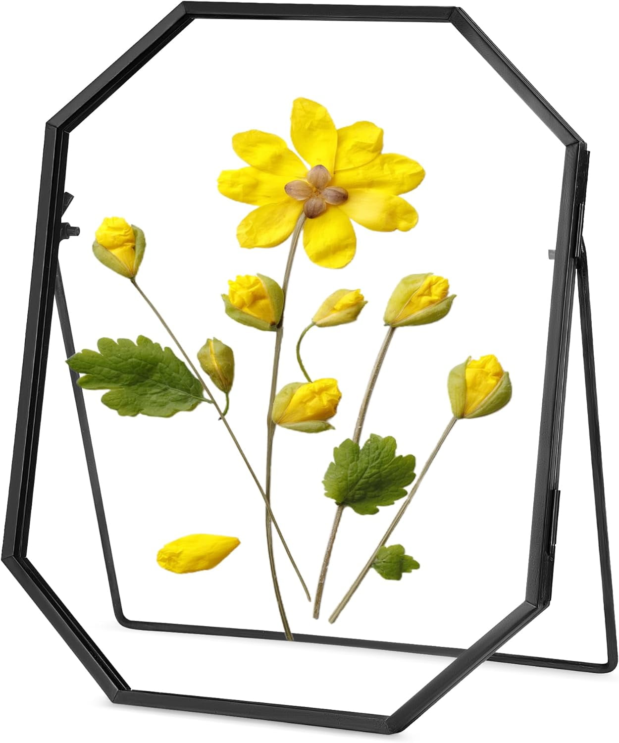 Glass Pressed Flower Frame Handmade, Metal Floating Picture Frame ...