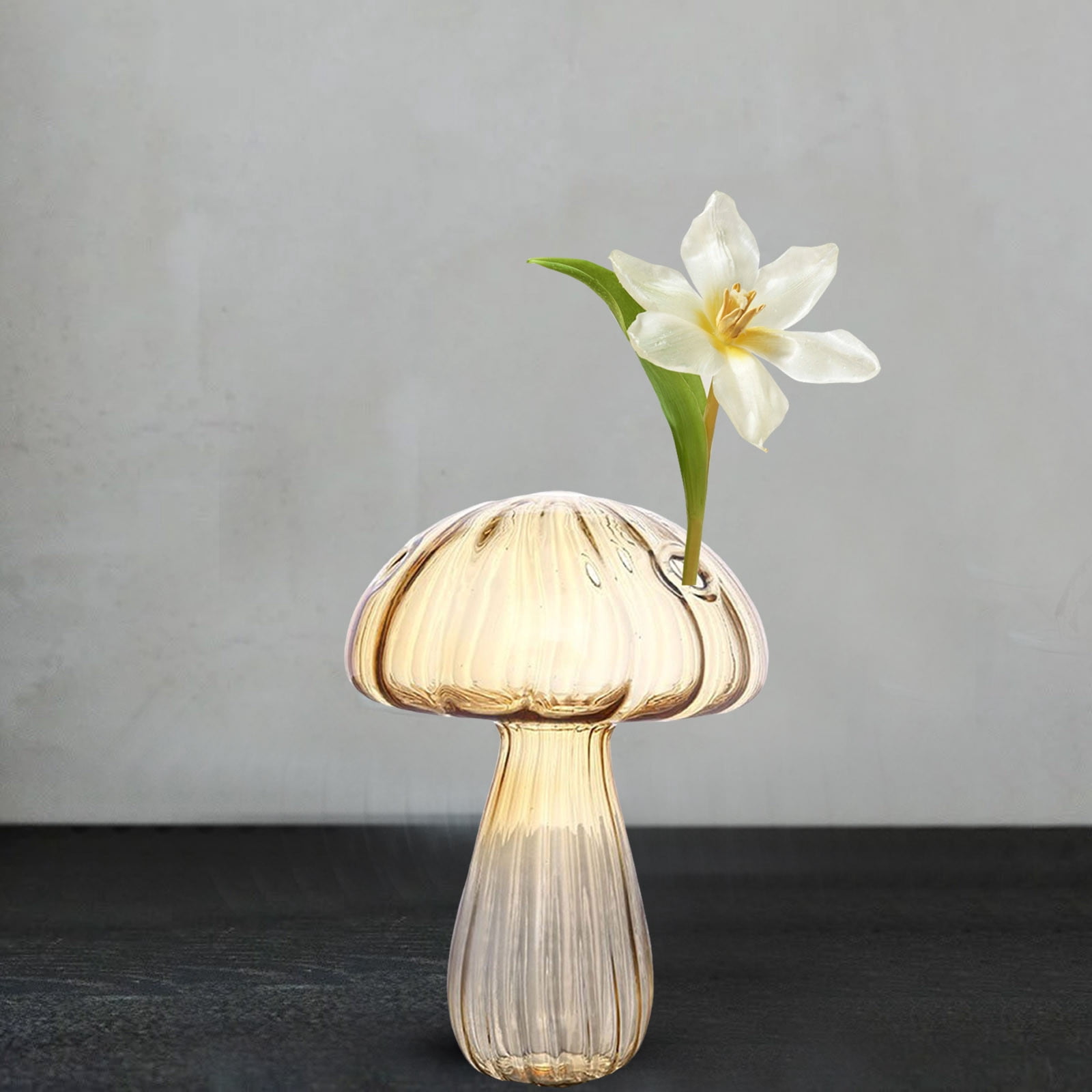 Glass Propagation Station for : Mushroom Planter with Wooden Stand for ...