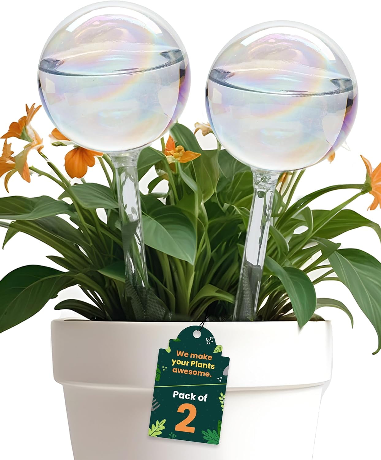 Glass Rainbow Plant Watering Globes, Iridescent Self Watering Globes ...