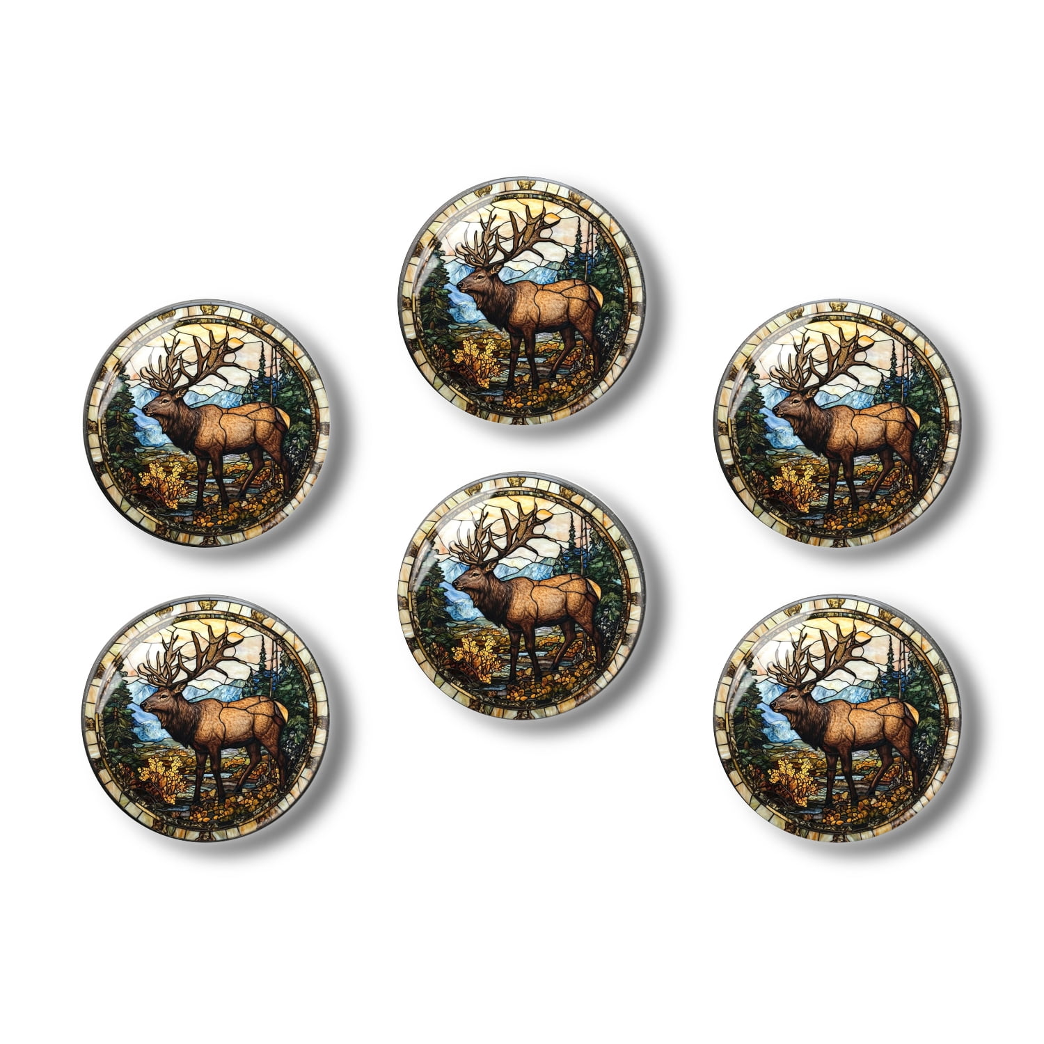 Glass Refrigerator Magnet 6Pcs Magnetic Fridge Sticker,Decor for ...