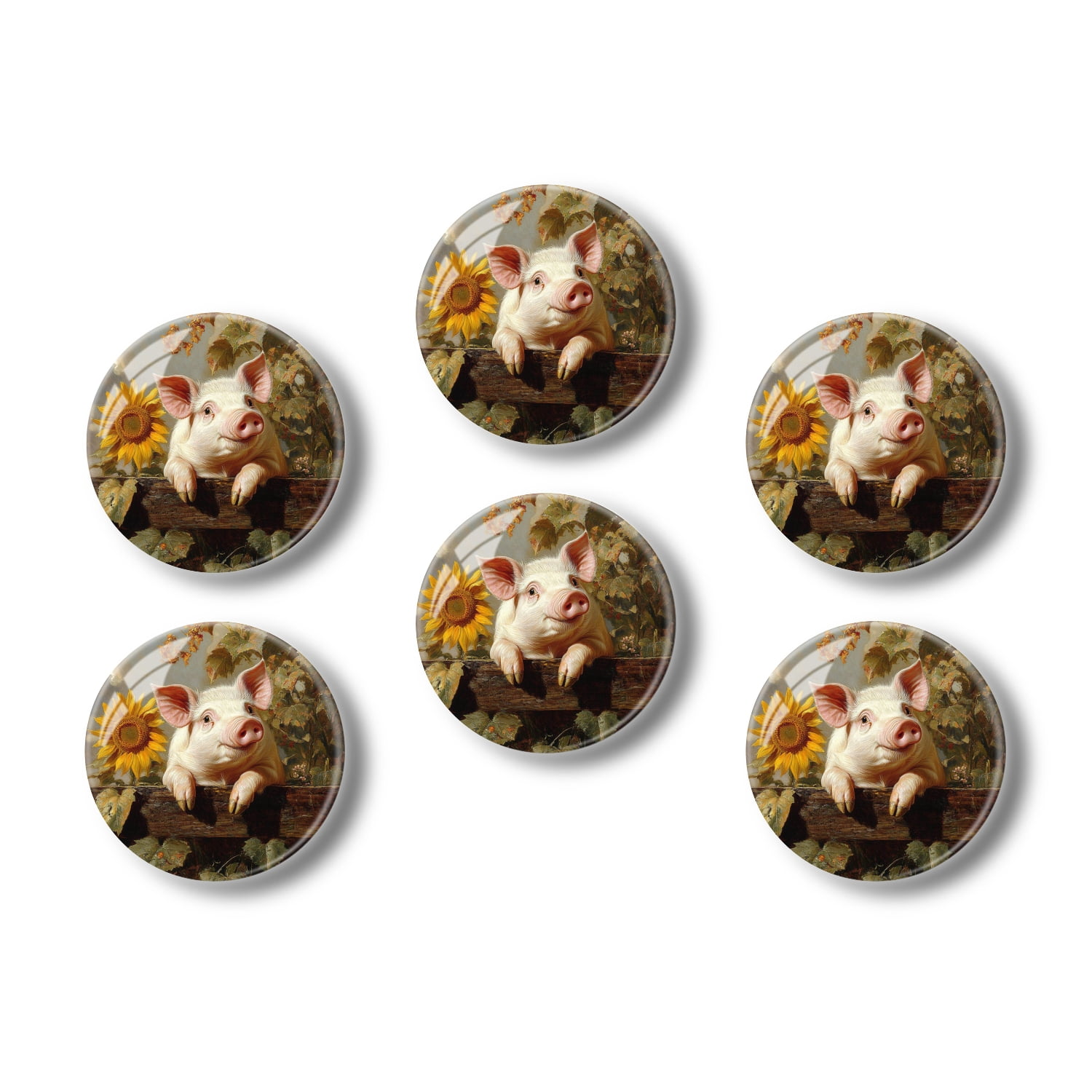 Glass Refrigerator Magnet 6Pcs Magnetic Fridge Sticker,Decor for ...