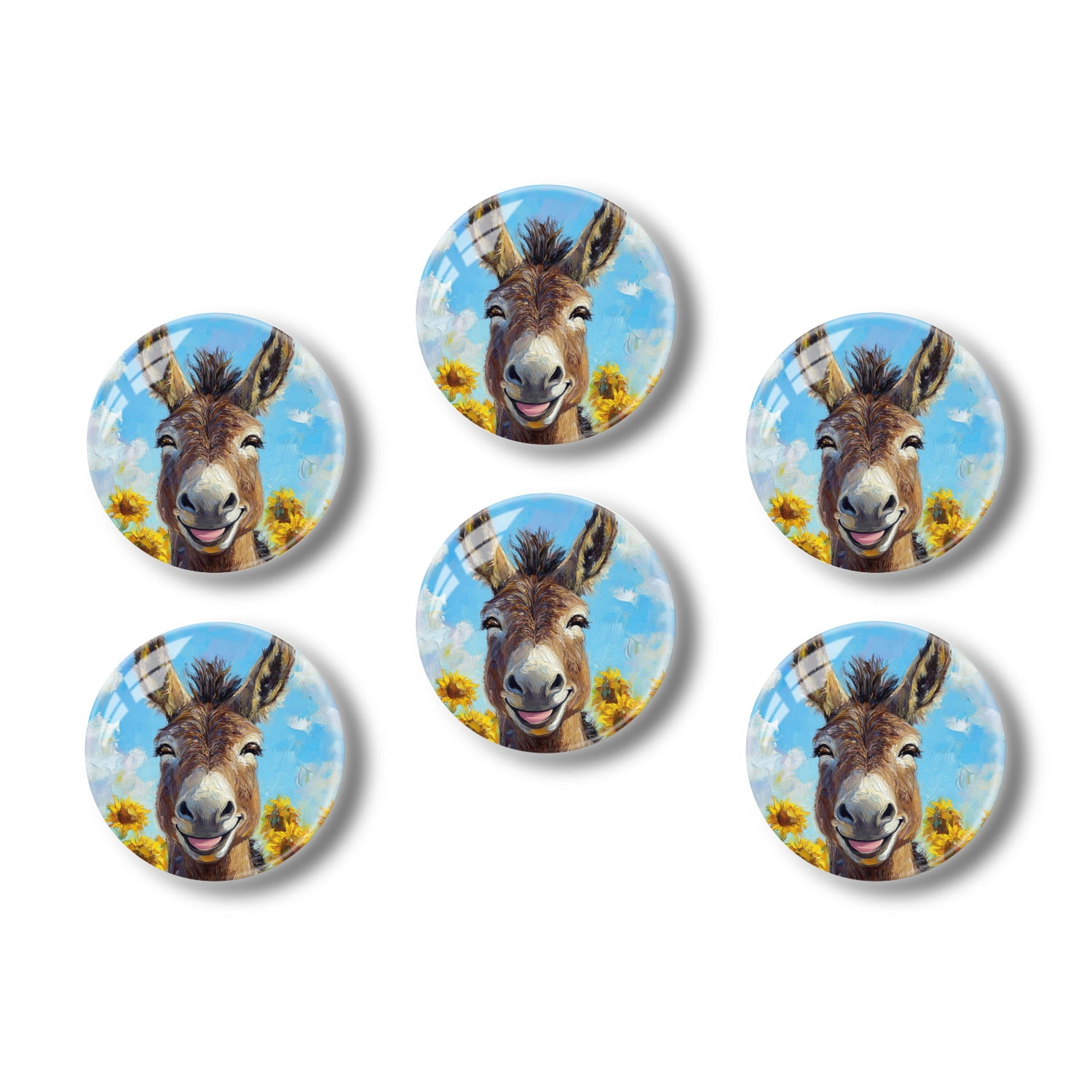 Glass Refrigerator Magnet 6Pcs Magnetic Fridge Sticker,Decor for ...