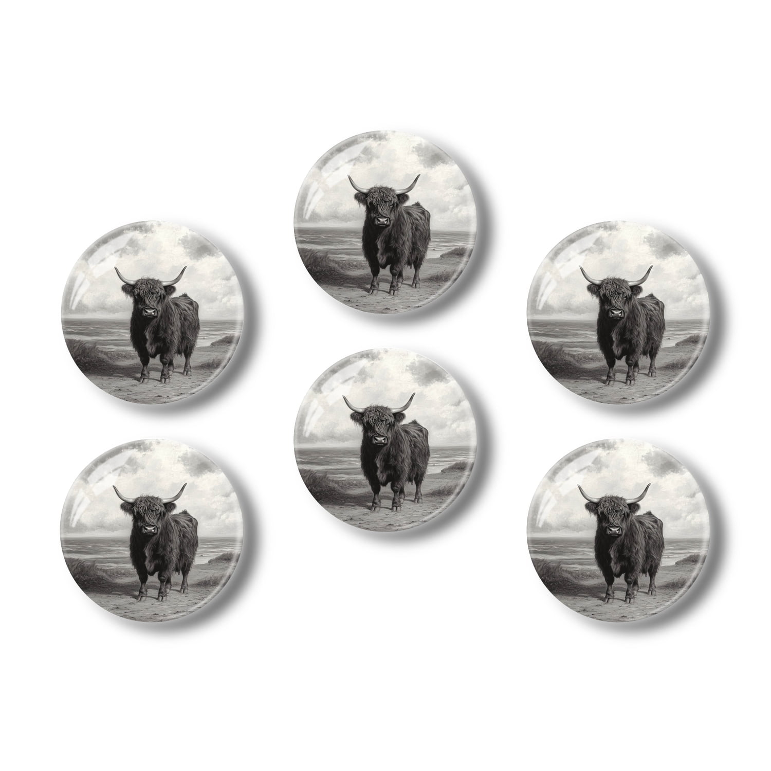 Glass Refrigerator Magnet 6Pcs Magnetic Fridge Sticker,Decor for ...