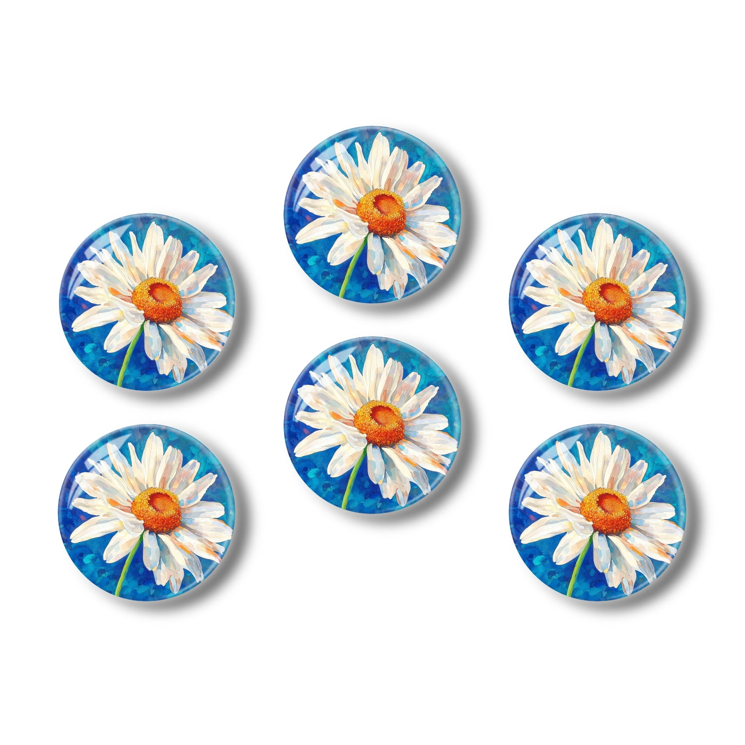 Glass Refrigerator Magnet 6Pcs Magnetic Fridge Sticker,Decor for ...