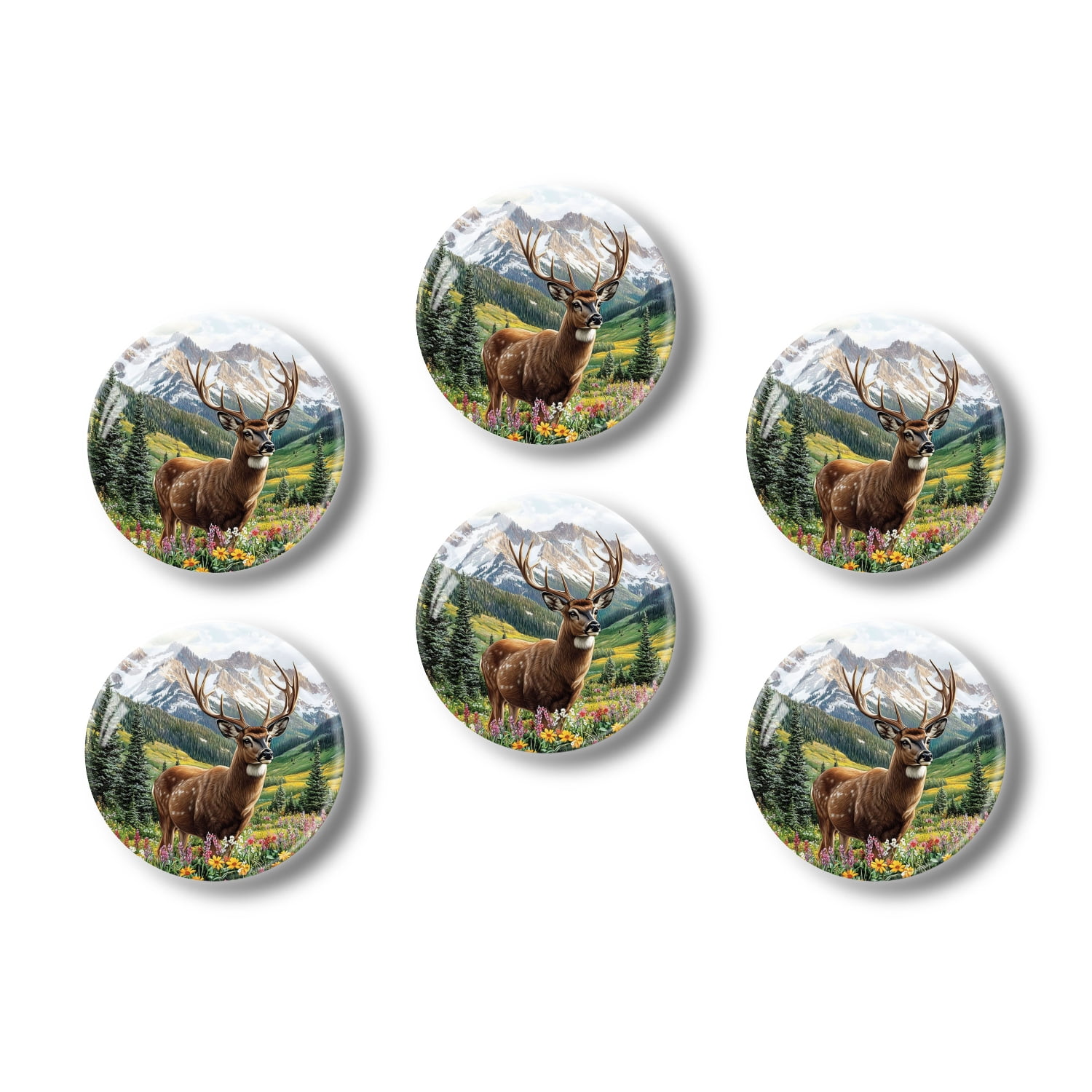 Glass Refrigerator Magnet 6Pcs Magnetic Fridge Sticker,Decor for ...