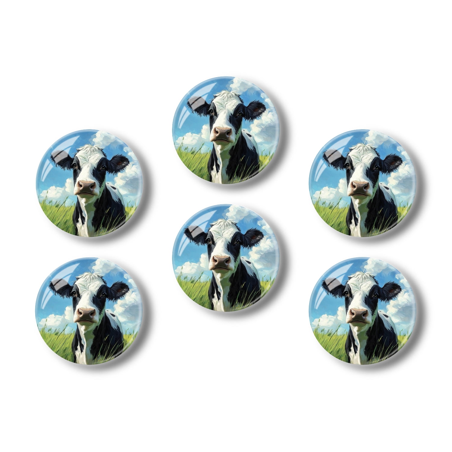 Glass Refrigerator Magnet 6Pcs Magnetic Fridge Sticker,Decor for ...