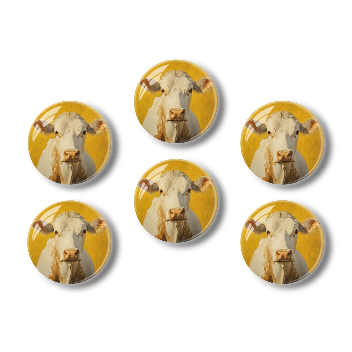 Glass Refrigerator Magnet 6Pcs Magnetic Fridge Sticker,Decor for ...