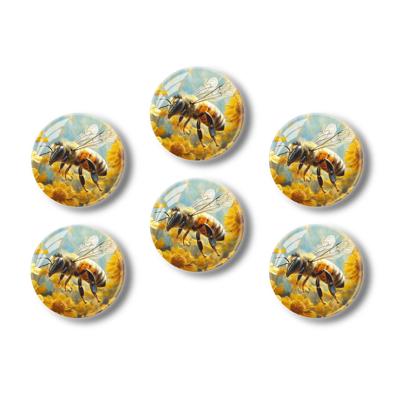 Glass Refrigerator Magnet 6Pcs Magnetic Fridge Sticker,Decor for ...