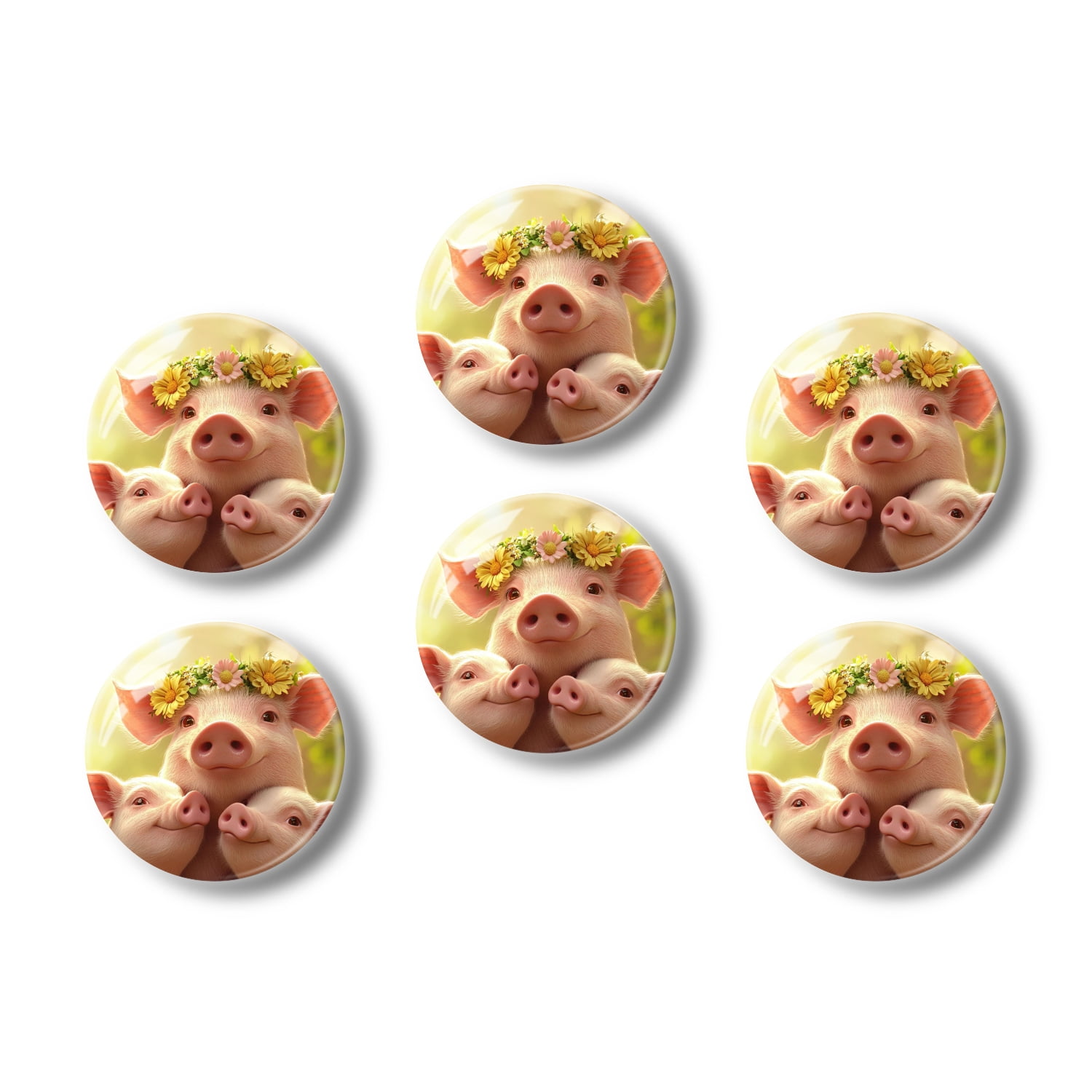 Glass Refrigerator Magnet 6Pcs Magnetic Fridge Sticker,Decor for ...