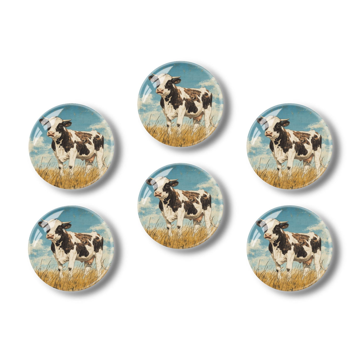 Glass Refrigerator Magnet 6Pcs Magnetic Fridge Sticker,Decor for ...