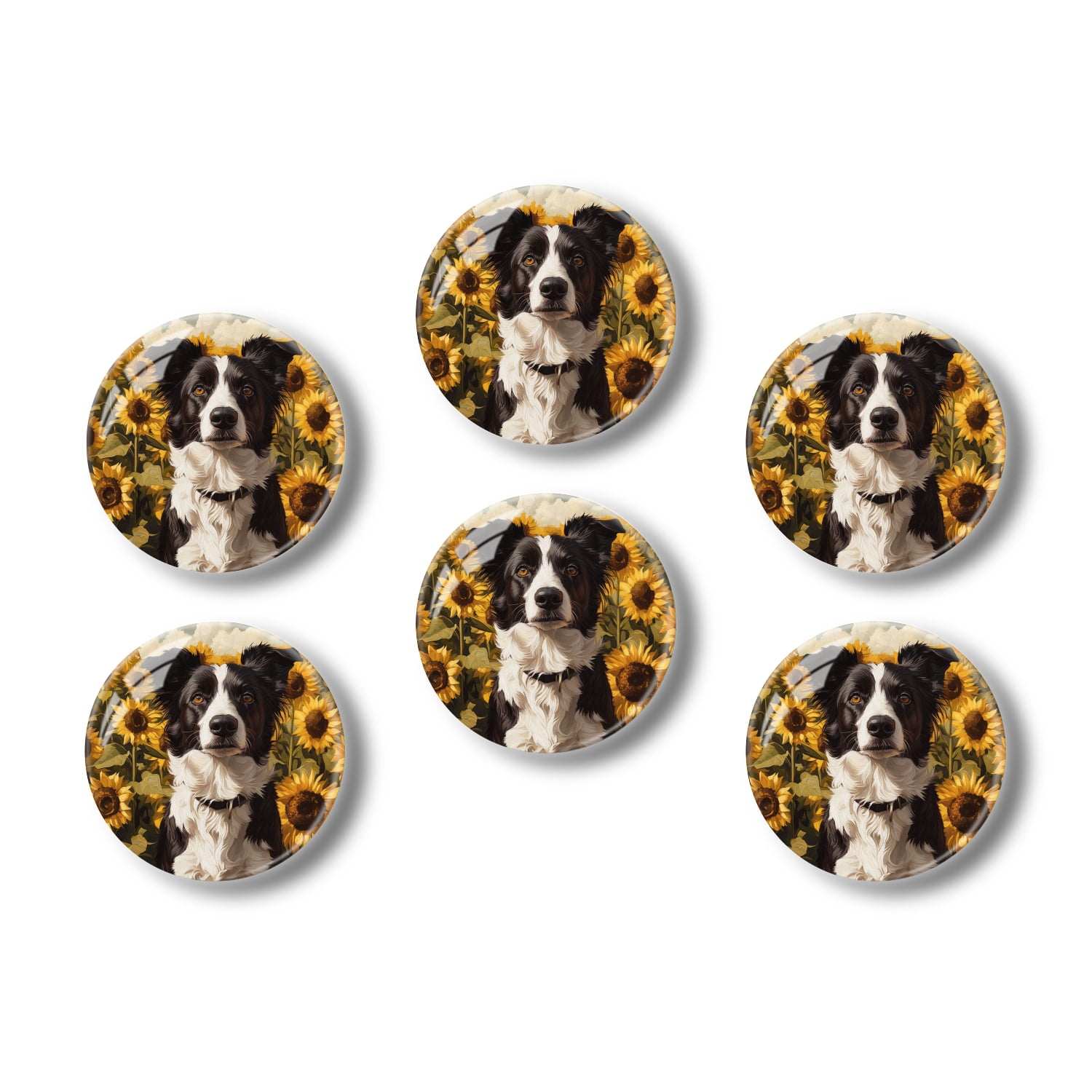 Glass Refrigerator Magnet 6Pcs Magnetic Fridge Sticker,Decor for ...