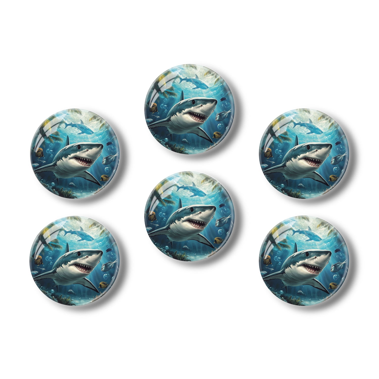 Glass Refrigerator Magnet 6Pcs Magnetic Fridge Sticker,Decor for ...