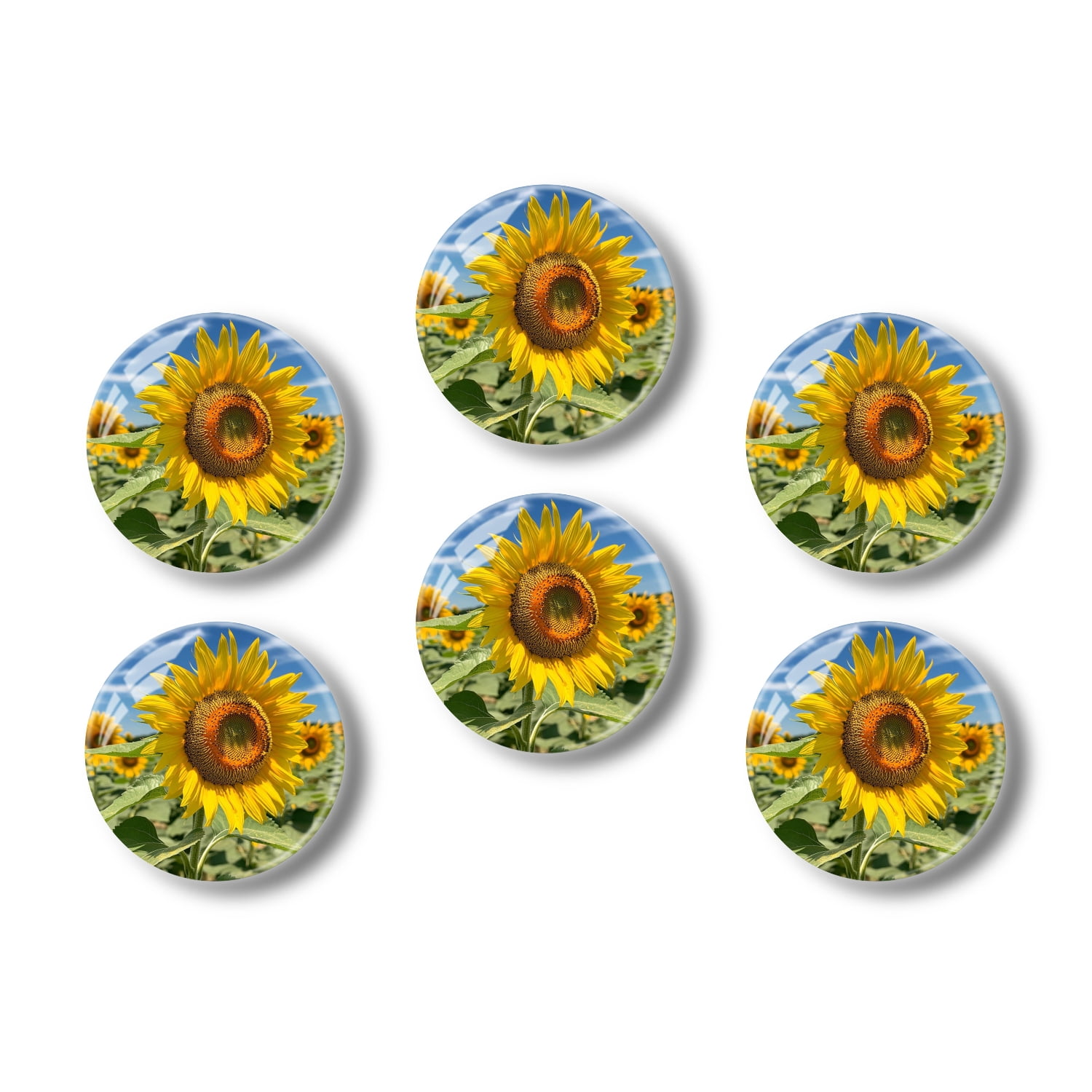 Glass Refrigerator Magnet 6Pcs Magnetic Fridge Sticker,Decor for ...