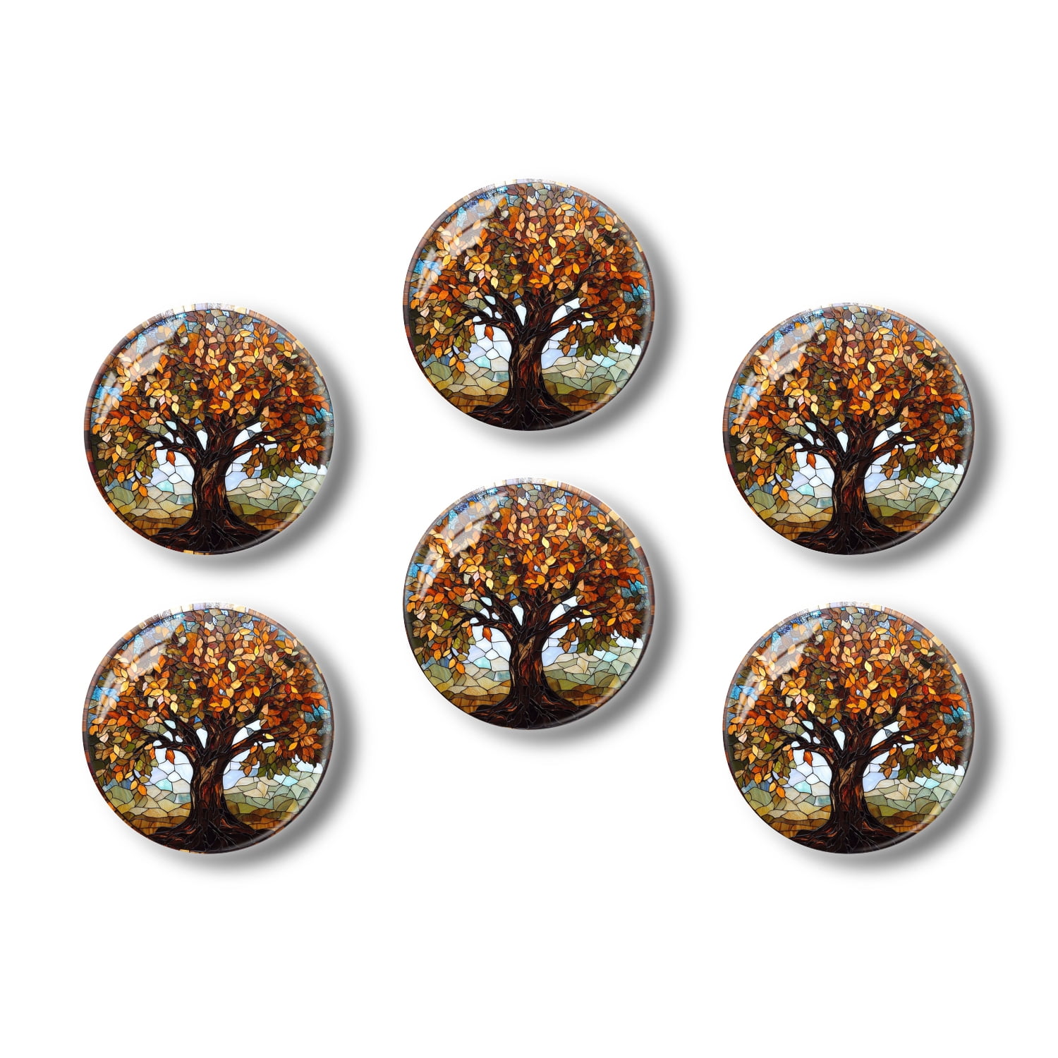 Glass Refrigerator Magnet 6Pcs Magnetic Fridge Sticker,Decor for ...