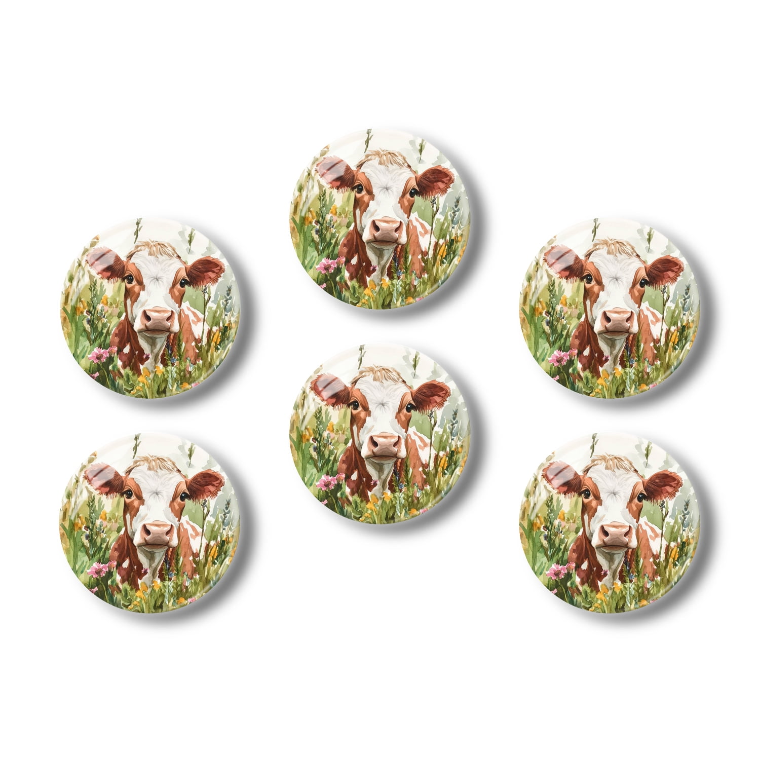 Glass Refrigerator Magnet 6Pcs Magnetic Fridge Sticker,Decor for ...