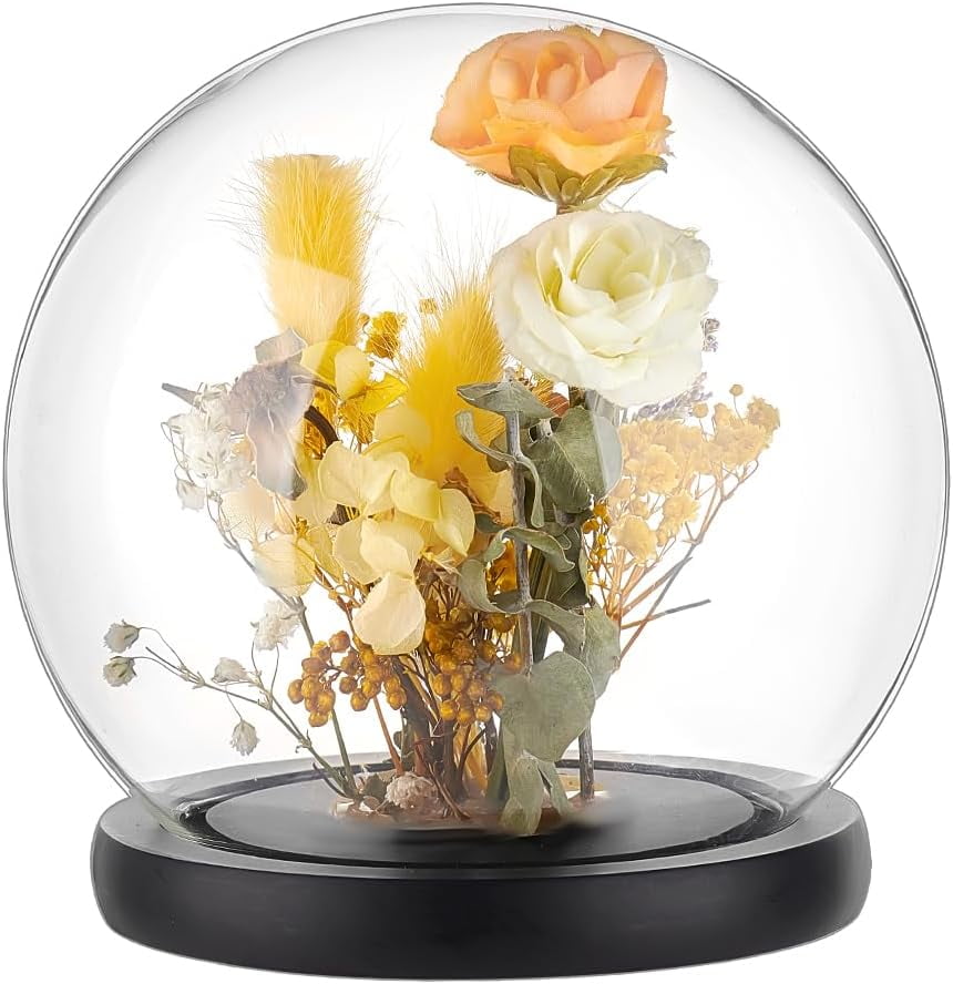 Glass Round Cover Decorative Display Case Cloche Bell Jar Terrarium ...