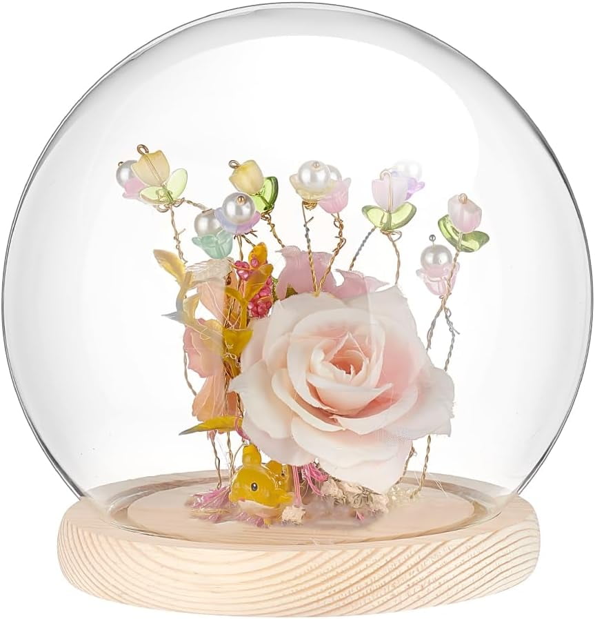 Glass Round Cover Decorative Display Case Cloche Bell Jar Terrarium ...