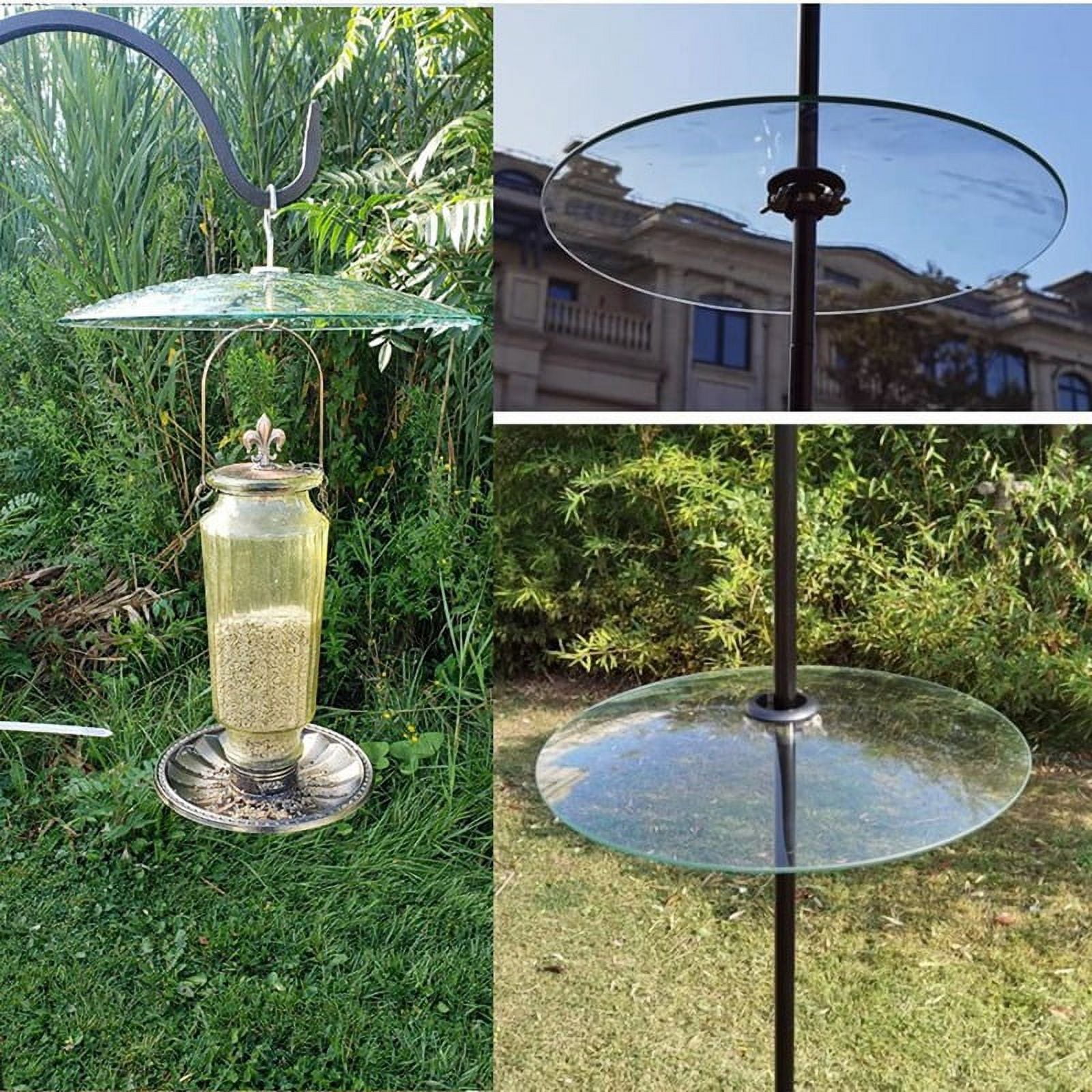 Glass Squirrel Baffle for Bird Feeders Pole - Shepherd Hooks/Post ...