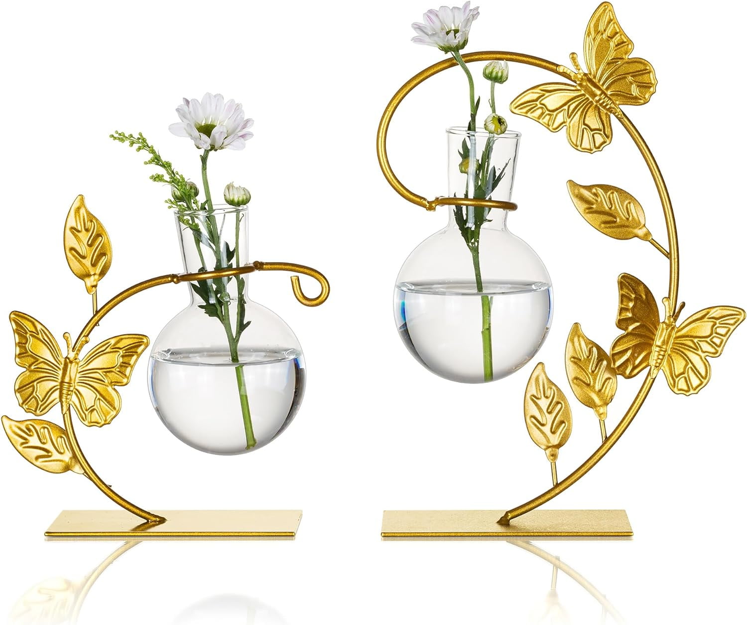 Glass Terrarium Propagation Stations: Unique Butterfly Planters for ...