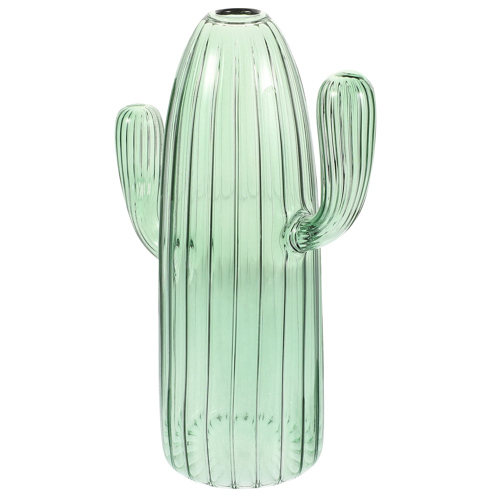 Glass Vase Dried Flowers Container Terrarium Kitchen Decoration The ...