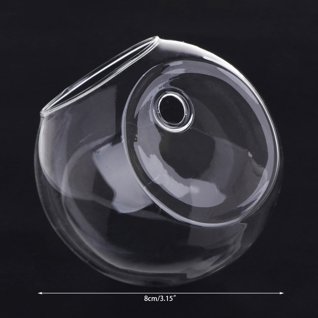 Glass Vase Wall Hydroponic Terrarium Fish Tanks Potted Plant Flower pot ...
