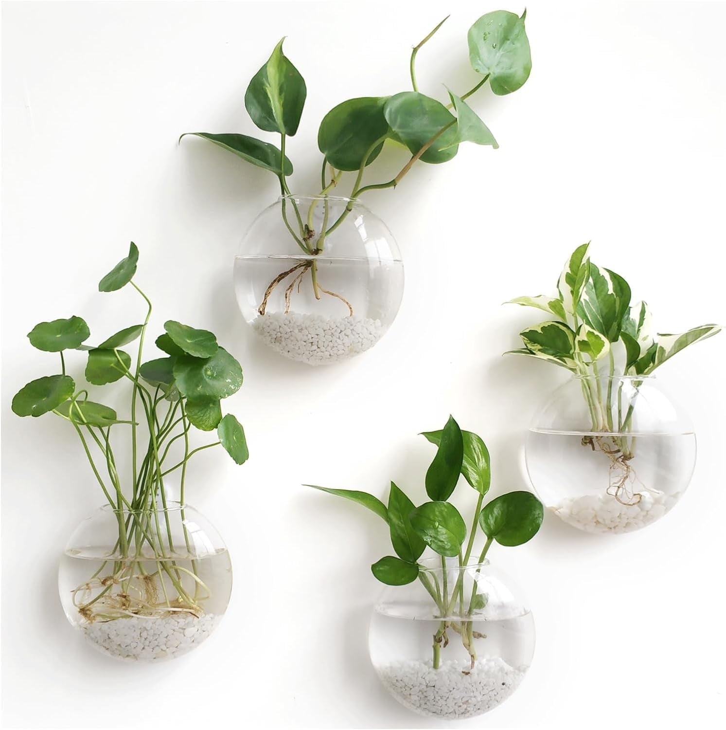 Glass Wall Hanging Planter Propagation Stations Set of 4 , Hydroponic ...