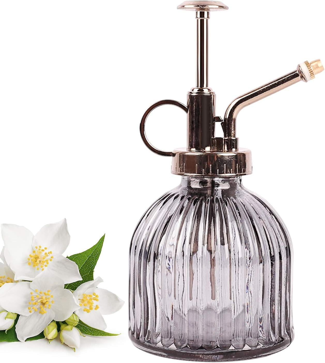 Glass Watering Sprayer 230ml Glass Plant Watering Can, Back Irrigation ...