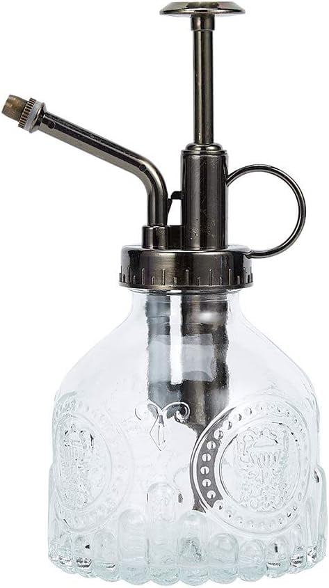Glass vintage Plant Spritzer Spray Bottle, Succulent Watering Bottle ...
