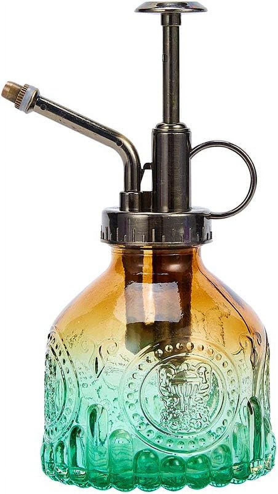Glass vintage Plant Spritzer Spray Bottle, Succulent Watering Bottle ...