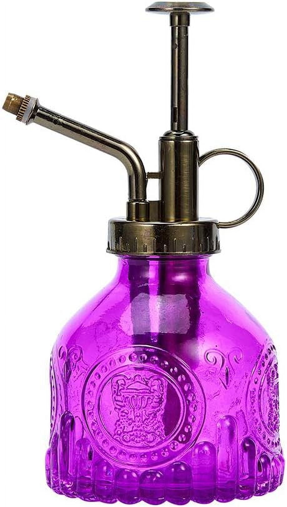Glass vintage Plant Spritzer Spray Bottle, Succulent Watering Bottle ...