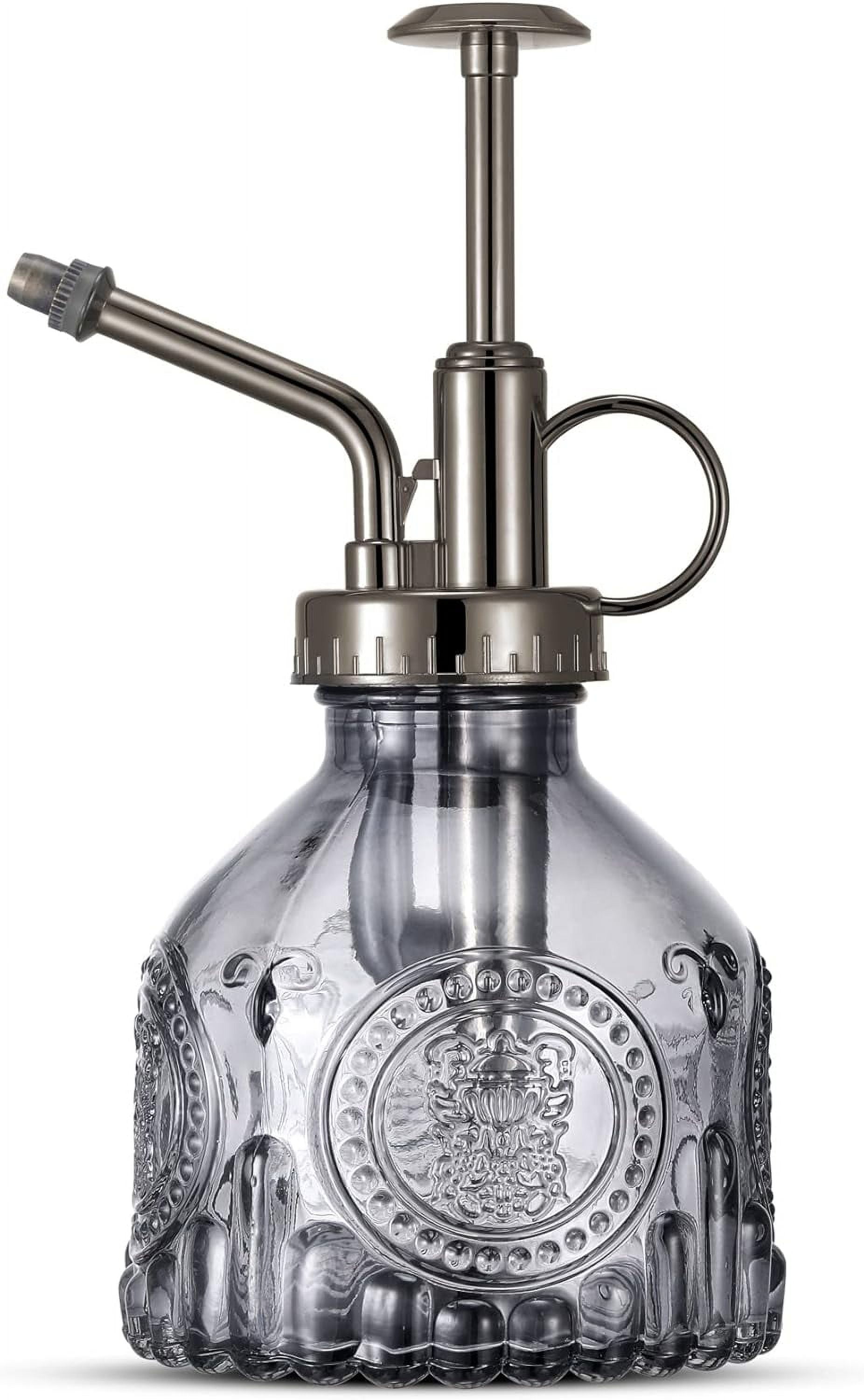 Glass vintage Plant Spritzer Spray Bottle, Succulent Watering Bottle ...