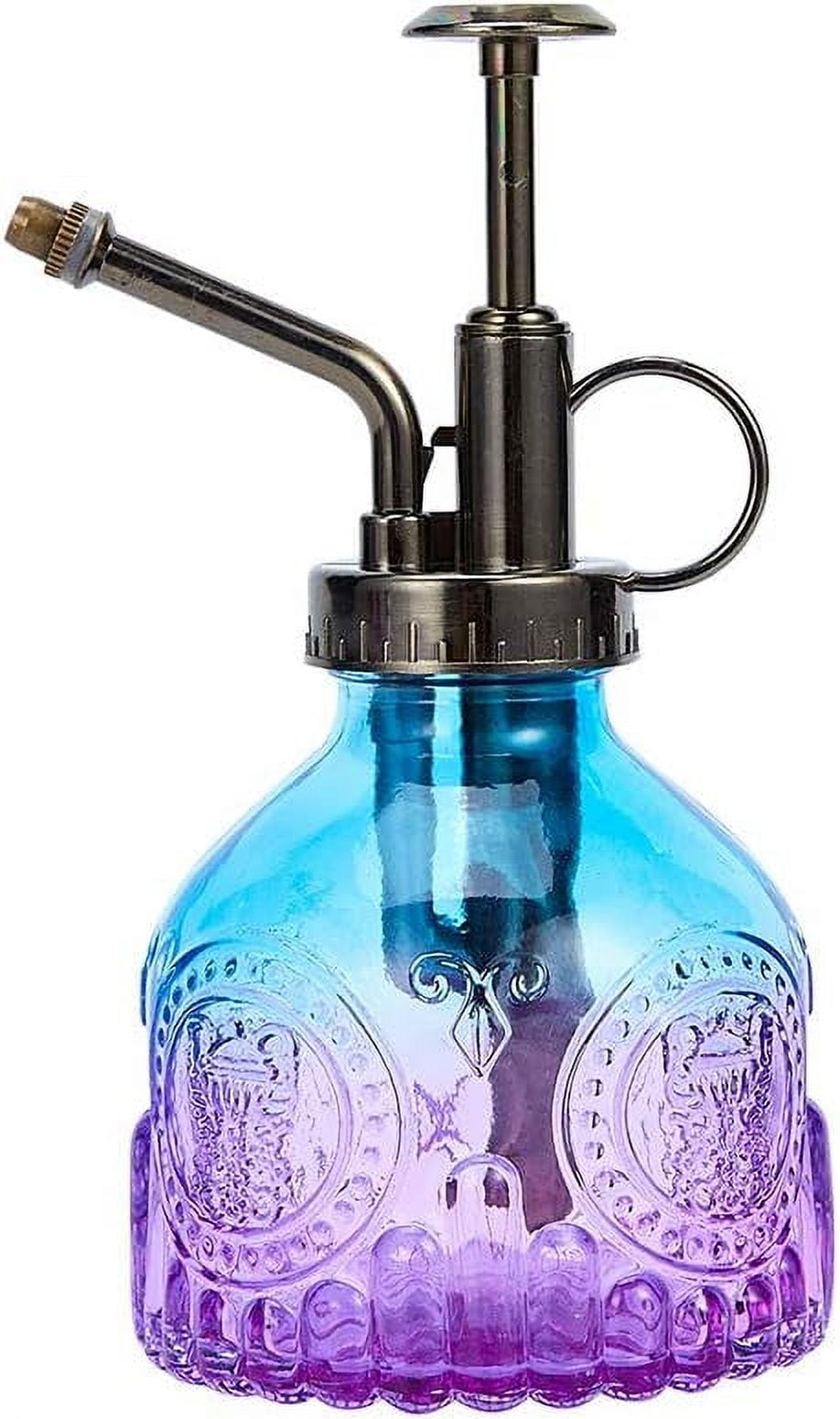 Glass vintage Plant Spritzer Spray Bottle, Succulent Watering Bottle ...