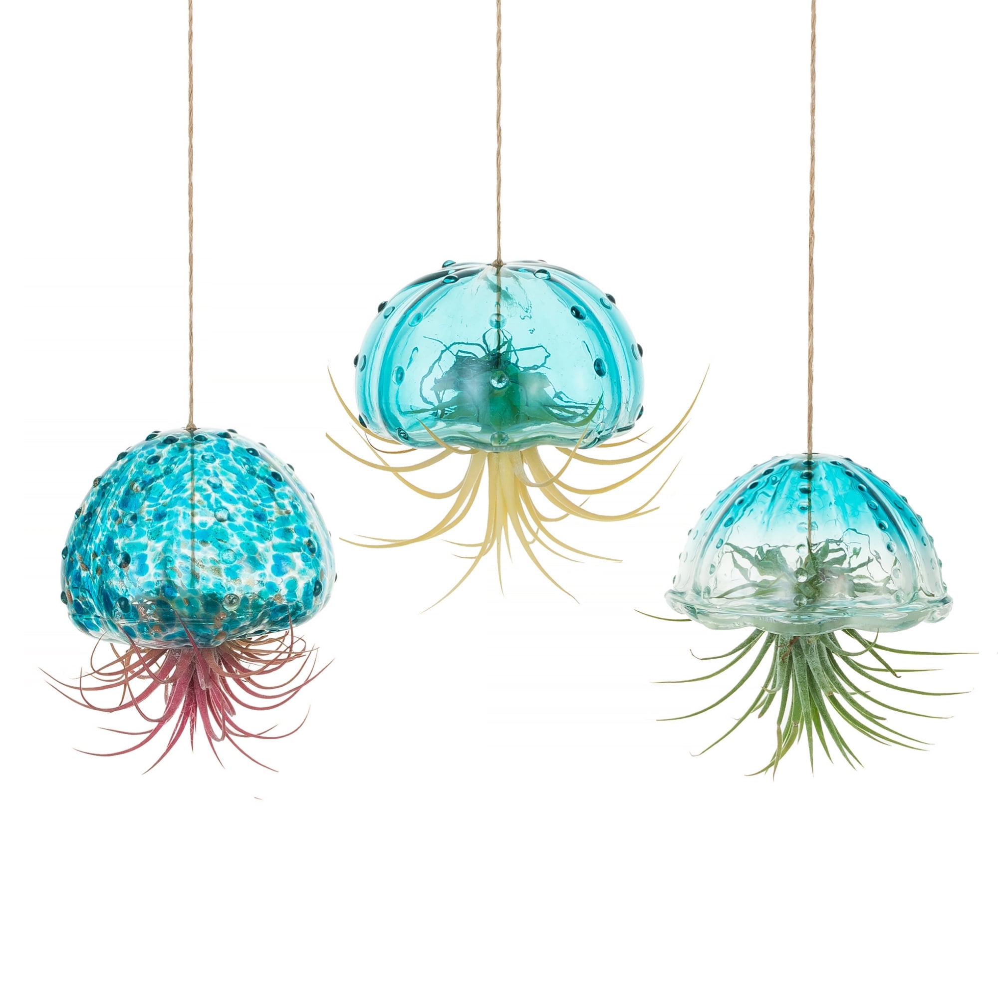 Glasseam Artisan Blown Glass Jellyfish Succulent Holder - Blue Sea ...