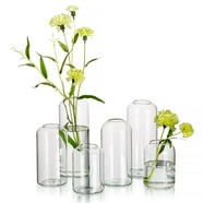 Glasseam 6 inch Tall Glass Bud Vases, Set of 24, Skinny Vases for ...