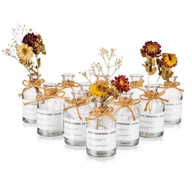 Glasseam Clear Glass Bud Vase Set of 16, Mini Flower Decor for Wedding ...