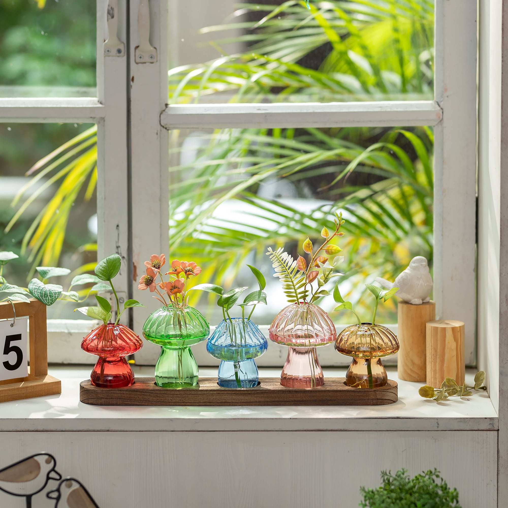 Glasseam Mushroom Glass Plant Propagation Station Set of 5: Unique ...