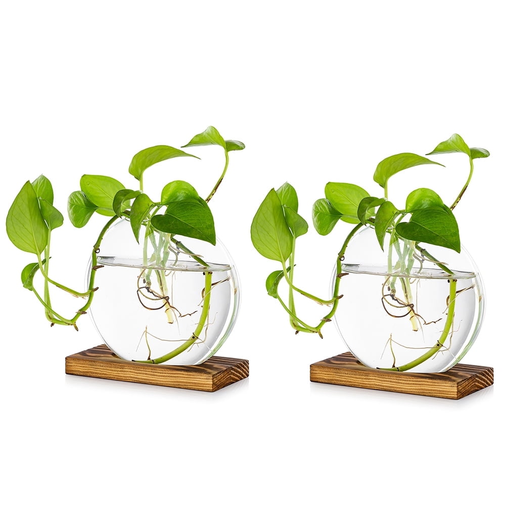Glasseam Plant Propagation Station, Set of 2 Glass Terrarium Jars ...