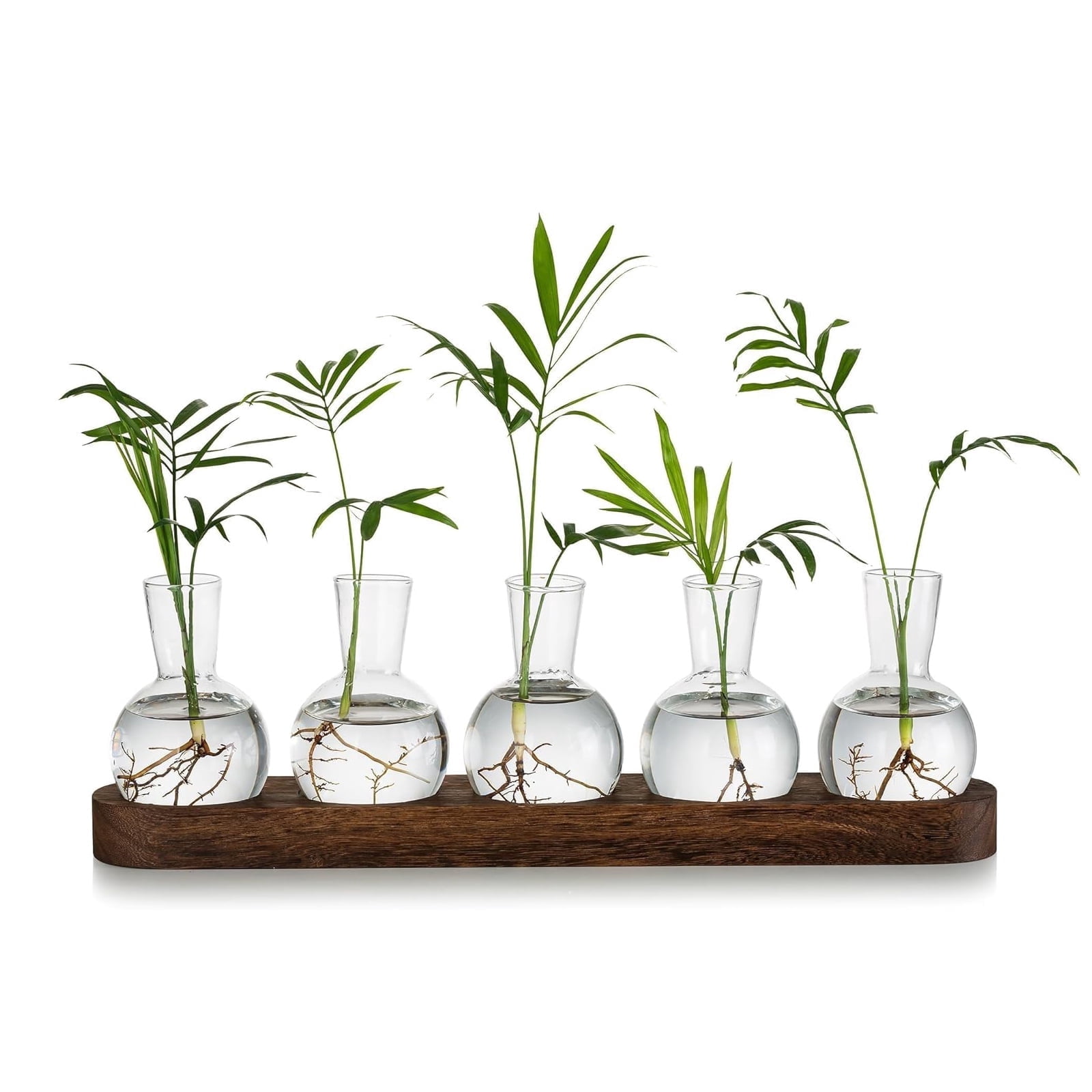 Glasseam Plant Terrarium Propagation Station, Set of 5 Glass Planter ...