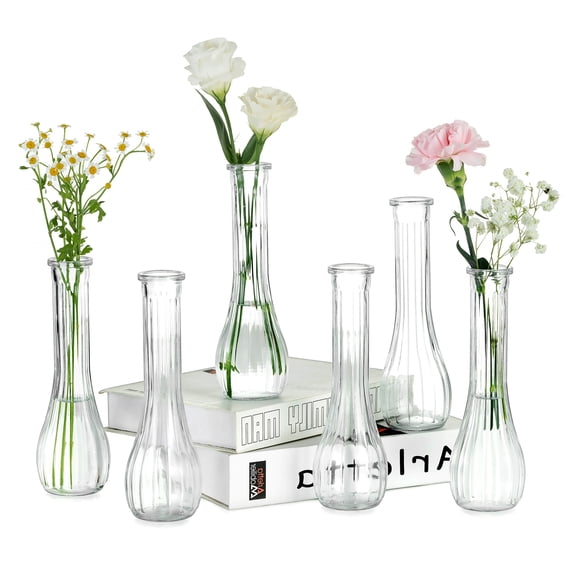 Glasseam Set of 6 Mini Glass Flower Vases, 8.5" Tall, Clear Ribbed ...