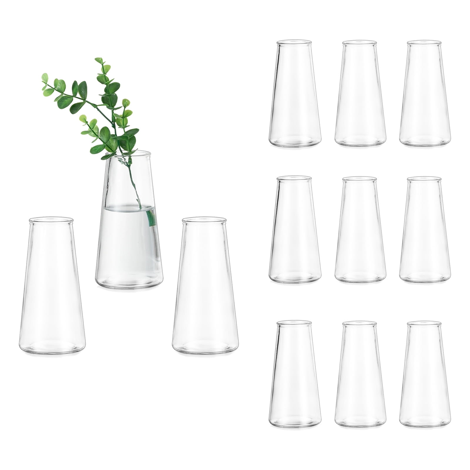 Glasseam Set of 12 Clear Conical Vases: Modern Minimalist Mini Flower ...