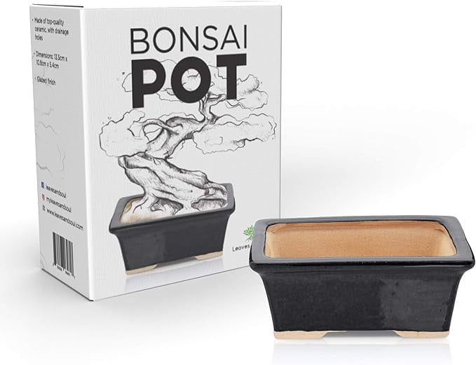 Glazed Ceramic Bonsai Pot - Ceramic Planter for Succulents and Small ...