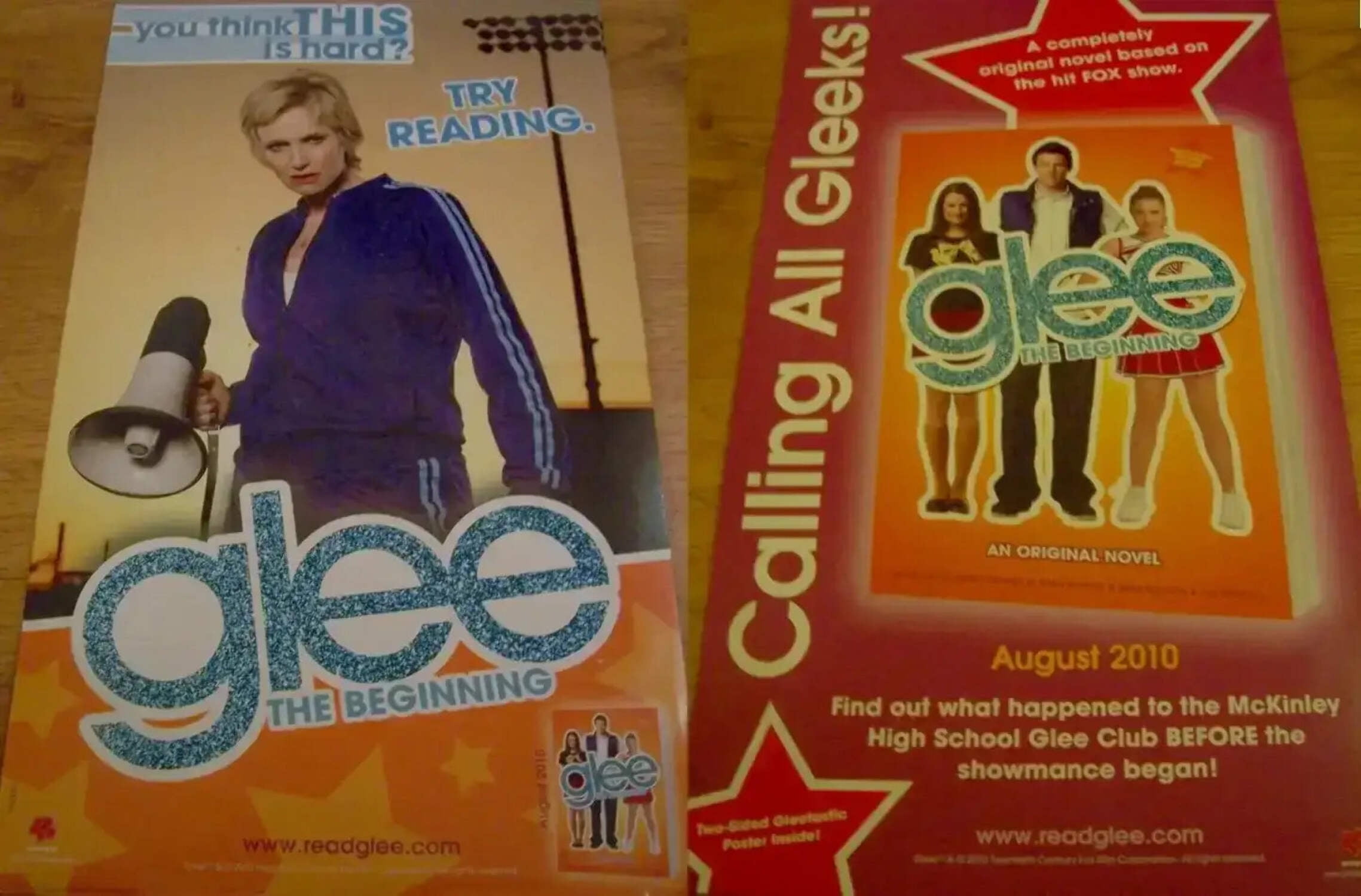 Glee Beginning 2010 SDCC 2 sided poster (Jane Lynch) - Walmart Business ...