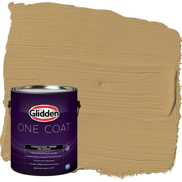 Exterior Paint 5 Gallon